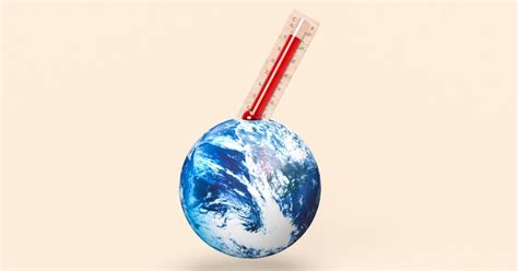 Lessons Learned From Cop 27 Opinion