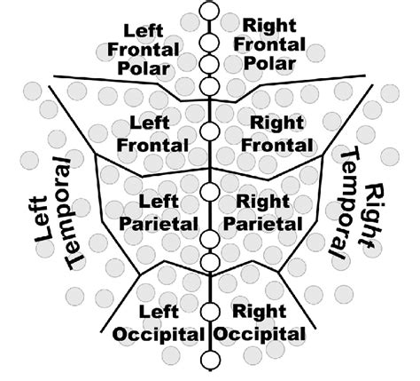 Schematic Of High Density Eeg Net The 124 Electrodes In The Eeg Net