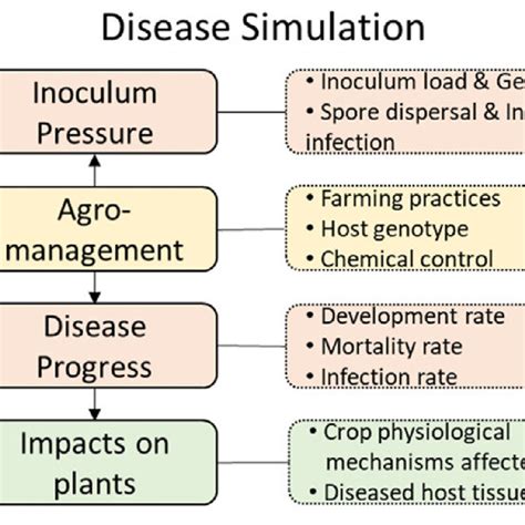 Stylised Plant Disease Framework Showing Factors Influencing Host
