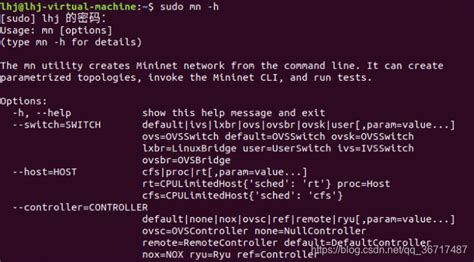 mininet使用教程 mininet教程 csdn博客