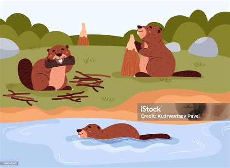 귀여운 만화 비버는 나무를 갉아먹고 강 근처에서 나뭇가지를 모으고 수레를 만들고 반수생 포유류는 야생 풍경을 그립니다 갈색에 대한 스톡 벡터 아트 및 기타 이미지 Istock