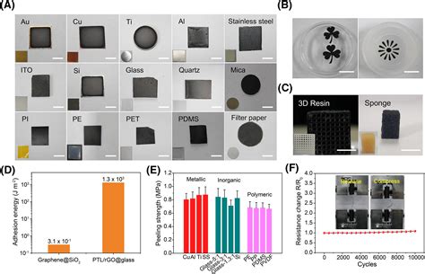 Amyloid‐based Functional Materials And Their Application In Flexible
