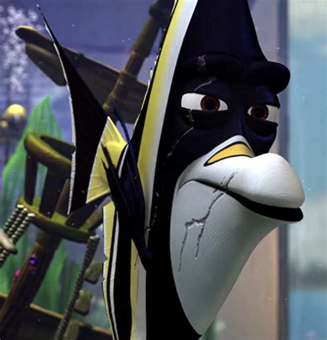 Finding Nemo Gill