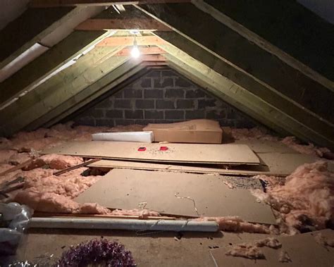 Loft Clearance Services Defender Pest Control