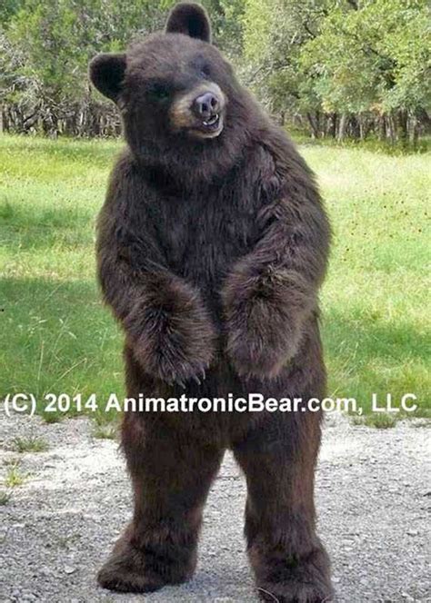 Realistic Black Bear Costume Bartram