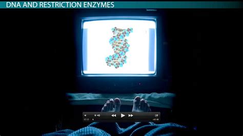 Biotechnology Restriction Enzyme Analysis Of DNA Biology Lab Lesson Study Com