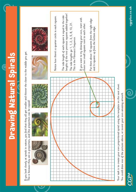 Fibonacci Spirals Years 5 6 Cgp Plus