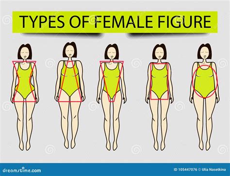 Five Types Of Male And Female Body Shapes Set Hourglass Inverted Triangle Round Rectangle