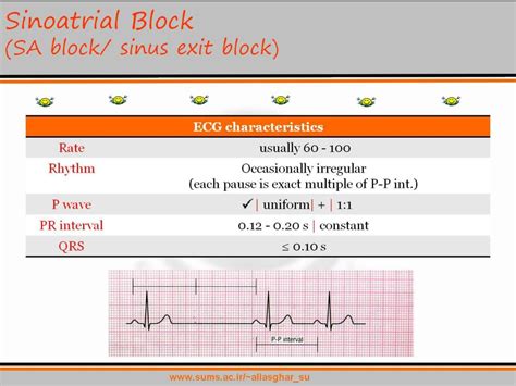 Ppt Rhythm Analysis Powerpoint Presentation Free Download Id 6971486