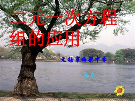 7 3 二元一次方程组综合应用 word文档在线阅读与下载 无忧文档