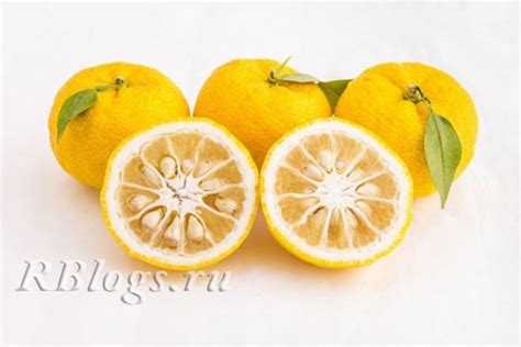 Юзу что это за фрукт