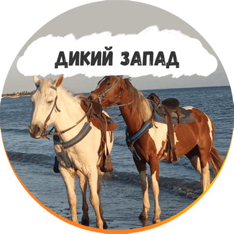 ᐉ Экскурсия в Венесуэле Дикий Запад от Venesuelapro