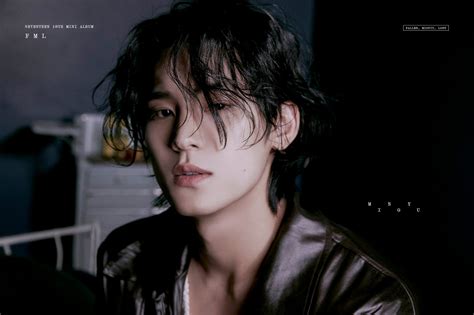 Seventeen Fml Teaser Photos Fallen Misfit Lost Ver Members Hdhq