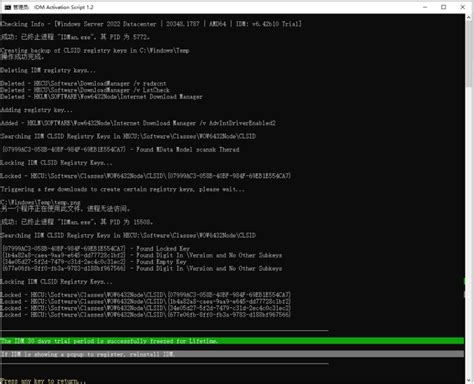 IDM 永久试用 个人资料