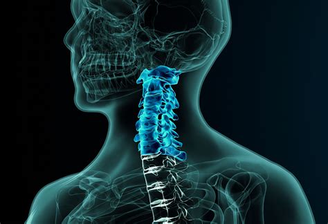 Conditions Dr Neill Wright