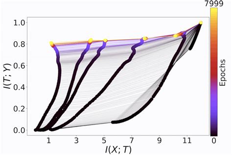 Information Planes For The Same Network As In Figure 3 Produced With Download Scientific