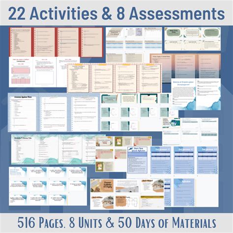 Economics Course And Bundle 1 Semester Turnkey Made By Teachers