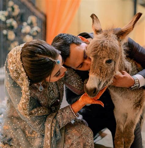 World Donkey Day Dr Abdul Raziq Kakar