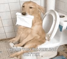 Hope You Feel Better Funny S Tenor