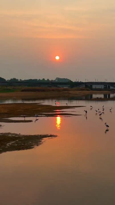 Video Deepu Sasidharan On Linkedin Keralakalamandalam Kerala