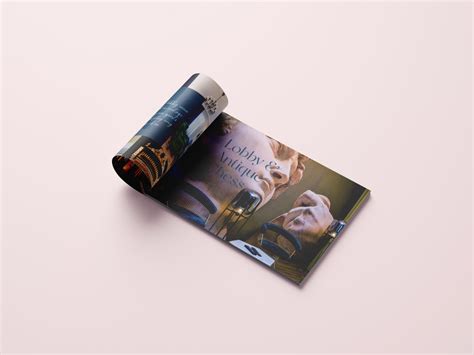 კატალოგები