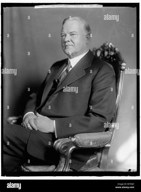 Herbert Hoover The 31st President Of The United States Is Portrayed