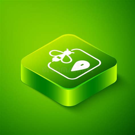Isometric Bee Location Map Pin Pointer Icon Isolated On Green