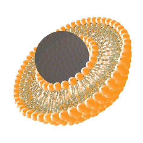 Liposomal Iron Manufacturers Liposomal Iron Suppliers Exporters