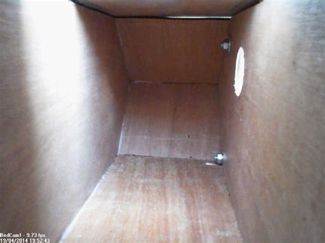 NestBoxTech Side View Raspberry Pi Powered Bird Counting Bird Box