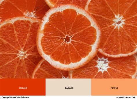 Orange Color Palette Hex Codes
