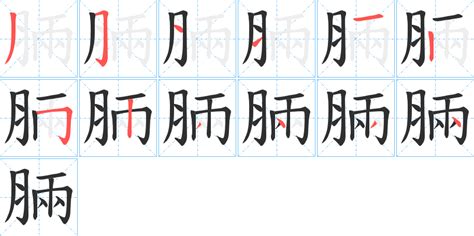 脼字笔画、笔顺、笔划 脼字怎么写