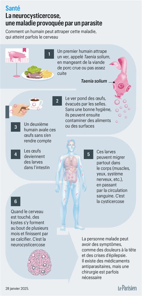 Un « Ver Dans Le Cerveau Comme Robert F Kennedy Jr Voici Comment