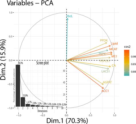 Principal Component Analysis Pca Variables And Scree Plot Download