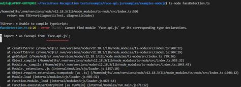 Issues With Node Example Issue Justadudewhohacks Face Api Js GitHub