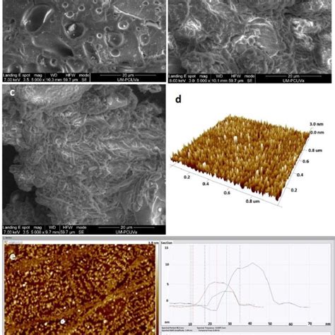 Environmental Scanning Electron Microscopy Esem Micrographs Of Pim 1