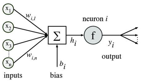 Structure Of A Single Neuron 31 Download Scientific Diagram