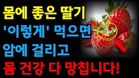 딸기를 제대로 먹는 방법 보약같은 딸기의 11가지 효능 더 효과적으로 먹는 기적의 레시피 딸기의 효능과 부작용 건강정보 Youtube