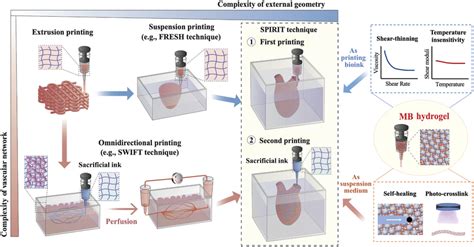 Expanding Extrusion Bioprinting Capability By Spirit Strategy Owing To Download Scientific
