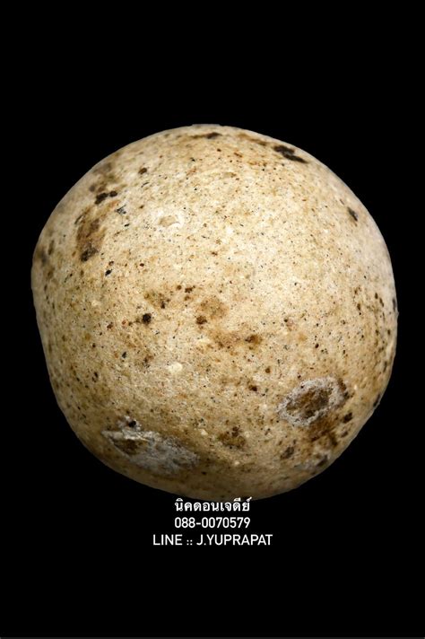 ลูกอมผง หลวงพ่อสงวน วัดไผ่พันมือ สุพรรณบุรี อมูเลท Suphanburi Amulet