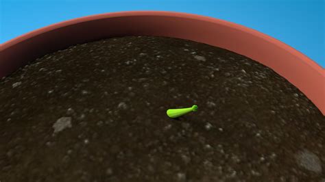 만화 데이지 붉은 꽃 3d 모델 169 C4d Free3d