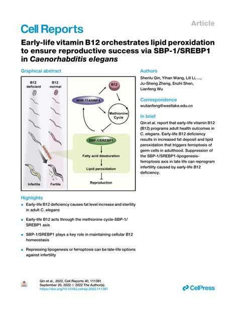 Pdf Early Life Vitamin B12 Orchestrates Lipid Peroxidation To Ensure