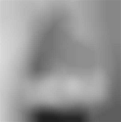 100 Same Sex Sentiments