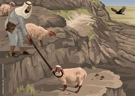 Shepherd Rescuing Sheep With Staff From Mountain Side Biblical