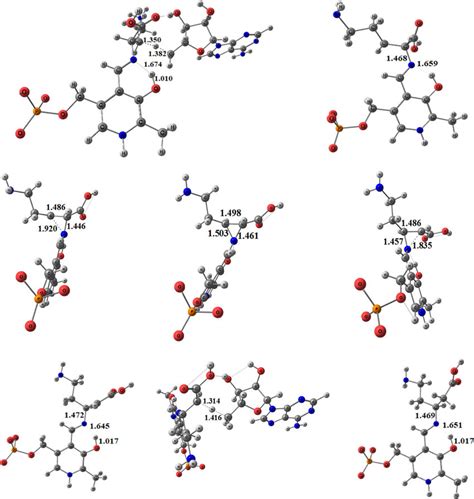 The Optimized Structures Of Intermediates Ints And Transition States
