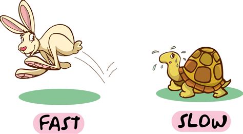 opposite words for fast and slow cartoon vector 24644136 vector art at