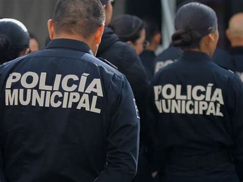 Aseguran Más De 133 Millones De Pesos En Drogas Y Combustibles Ilegales