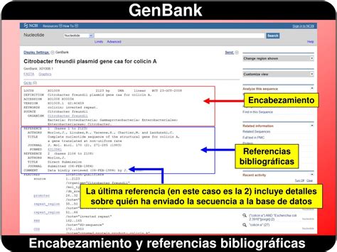 Ppt International Nucleotide Sequence Database Collaboration Powerpoint Presentation Id 5726514