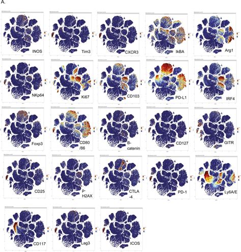 Tumor Intrinsic Response To Ifnγ Shapes The Tumor Microenvironment And Anti Pd 1 Response In